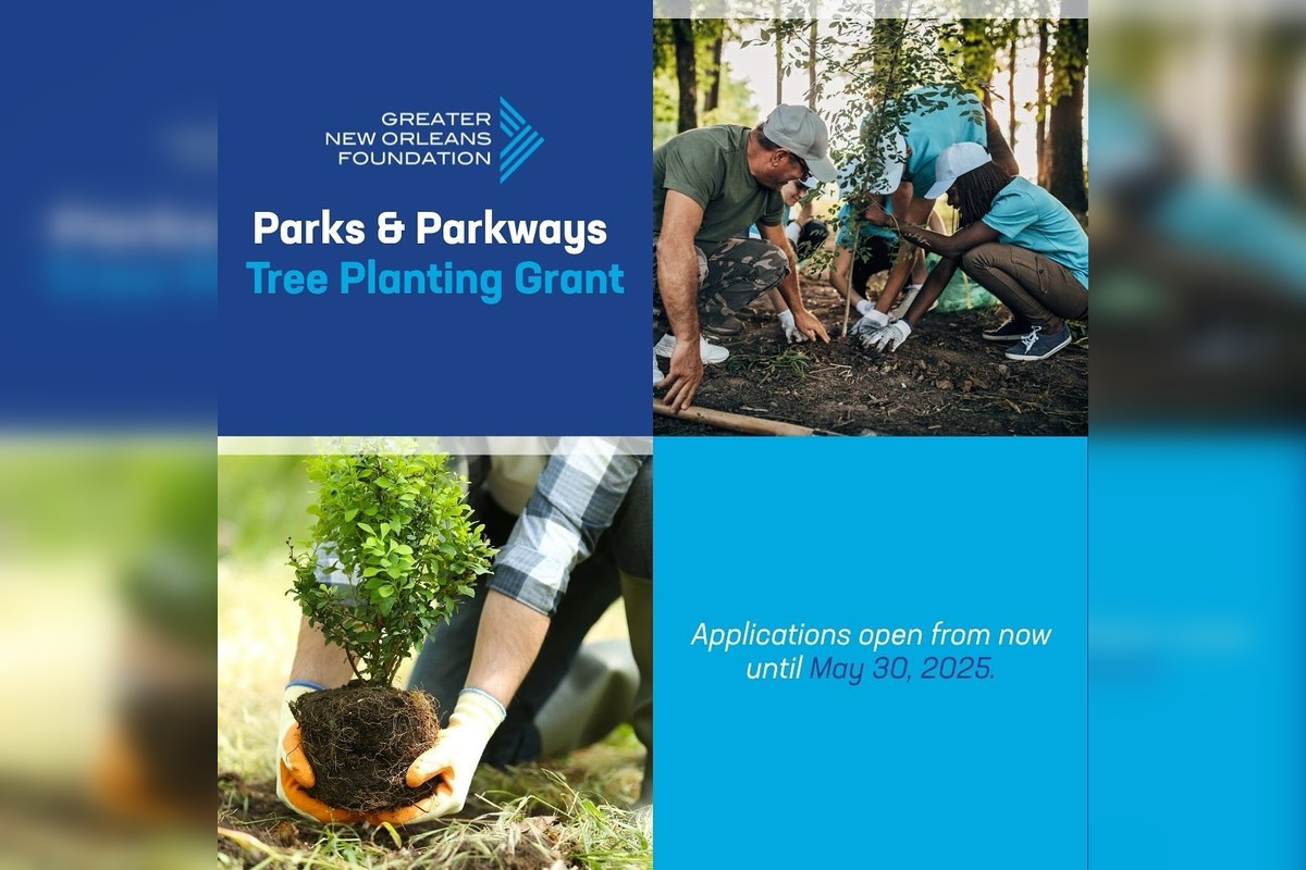 New Orleans Launches $225K Tree Planting Grant for Nonprofits to Boost