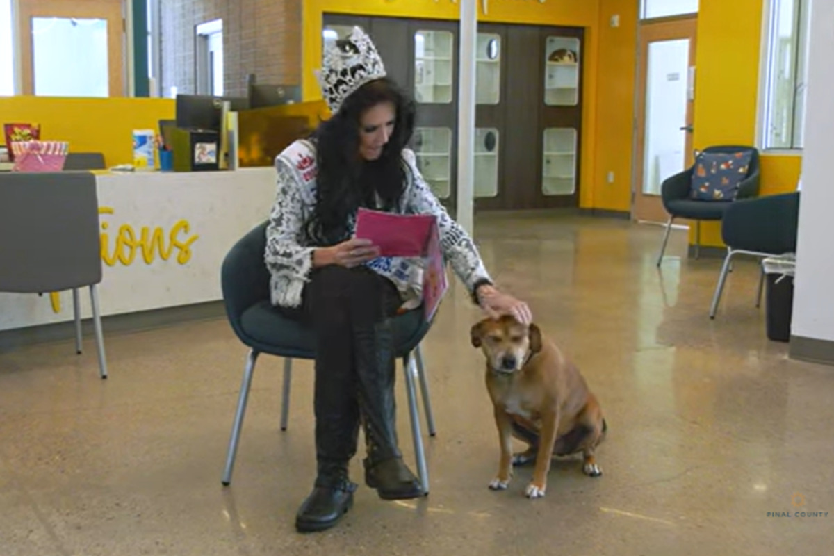 Pinal County Animal Lovers Invited to "Tales for Tails" Summer Reading