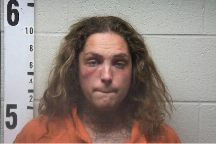 Tennessee Man Dylan Petrizzo Charged with Aggravated Assault on Mother