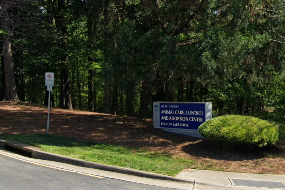 Wake County Animal Center Urges Community Action as They Reach Near