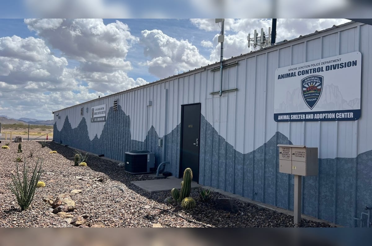 Apache Junction Animal Control Undergoes Renovations, Adjusts Services