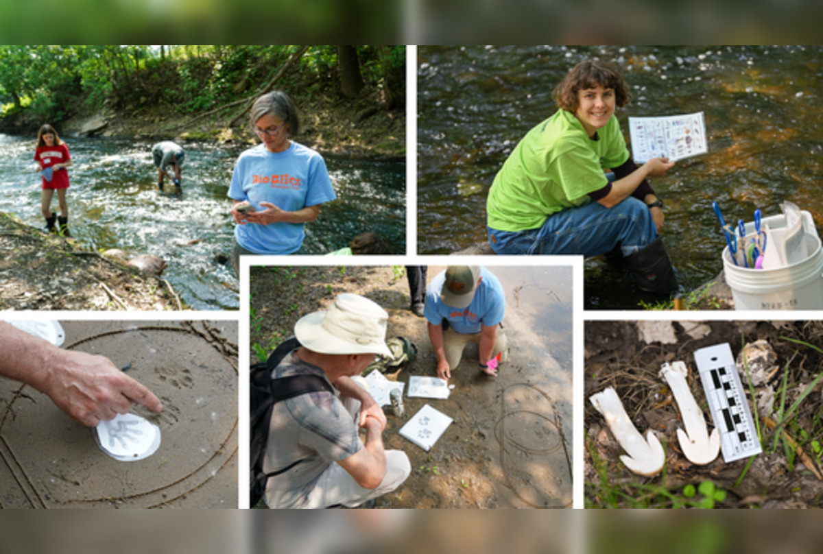 Join the Minneapolis BioBlitz: Explore and Document Nature at