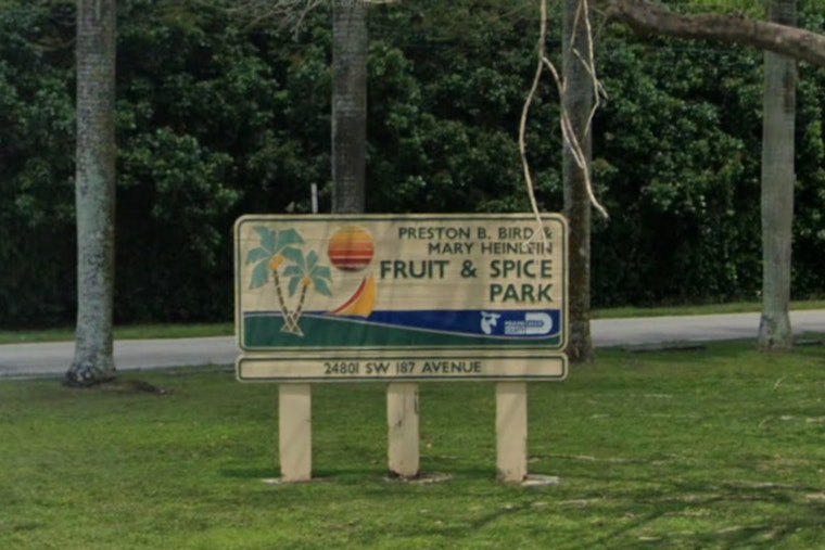 Miami-Dade's Summer Fruit Festival Set to Showcase Local Bounty at