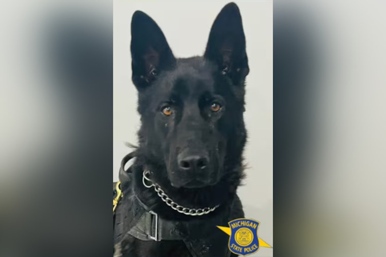 Michigan State Police K-9 Thor Recovers After Suspected Poison