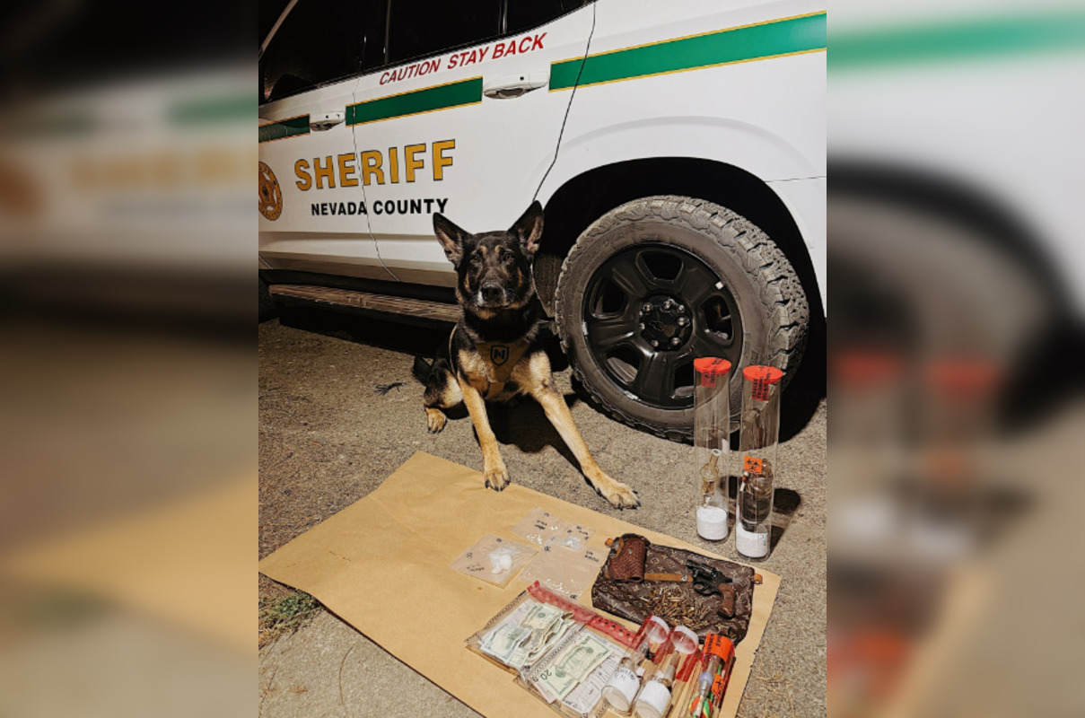 Nevada County Sheriff and Grass Valley Police Arrest Two, Seize Drugs