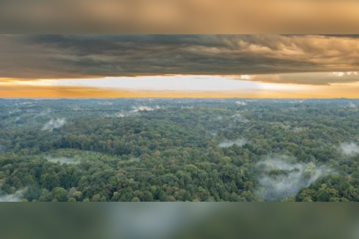 Ohio State Forests Introduce Online Reservation System for Campers at