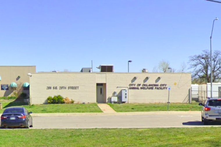 Oklahoma City Animal Welfare Offers Free and Discounted Adoptions Amid