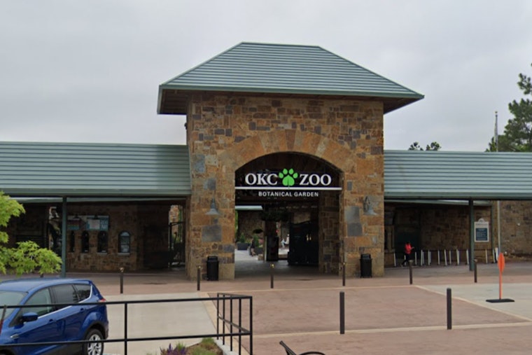 Oklahoma City Zoo and Local Businesses Celebrate Thunder's NBA Victory