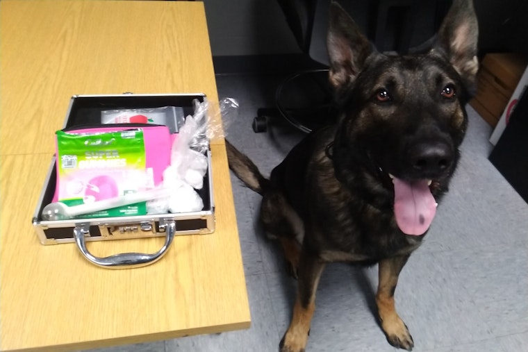 Ozaukee County Deputies Seize 80+ Grams of Meth, Make Felony Arrests