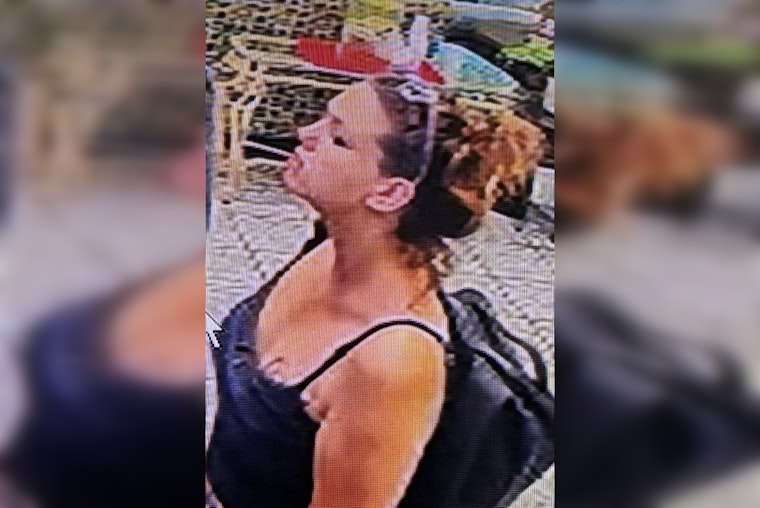 Pasco Sheriff's Office Seeks Public's Help to Find Missing Sydney