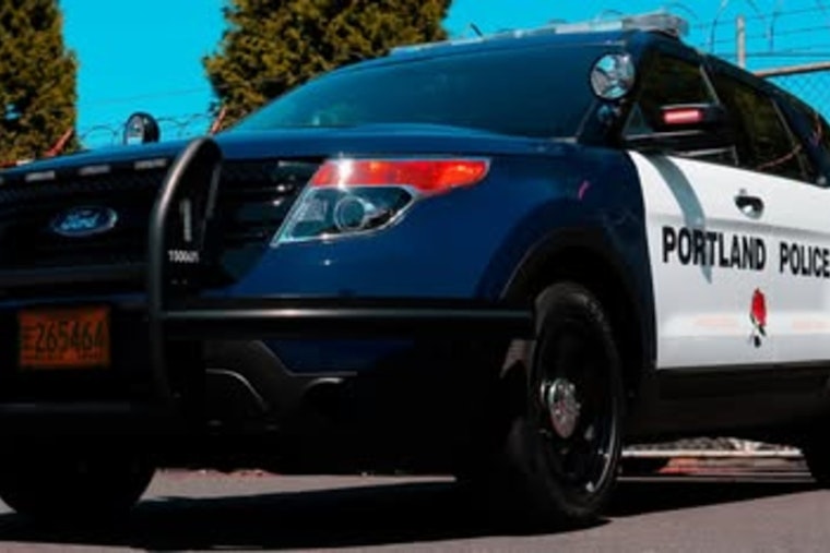 Portland Police Monitor South Portland Protests, No Arrests or Use of