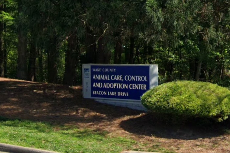 Rabies Alert in Wake Forest, Health Officials Respond After Rabid Fox