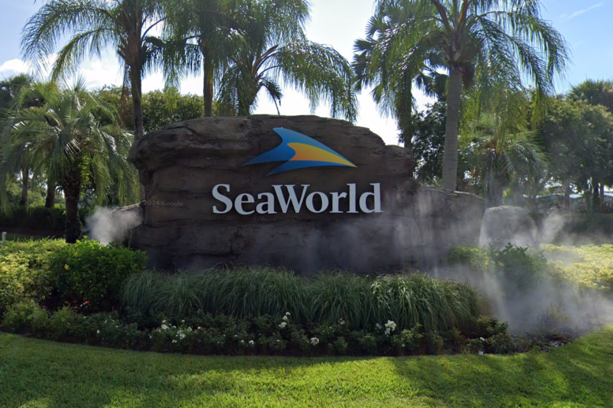 SeaWorld Orlando's "Bands, Brew and BBQ" Returns with Live Music and