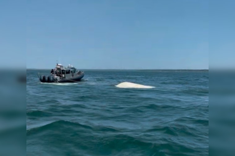 Three Rescued from Capsized Boat Off Marion Coast by Quick-Acting