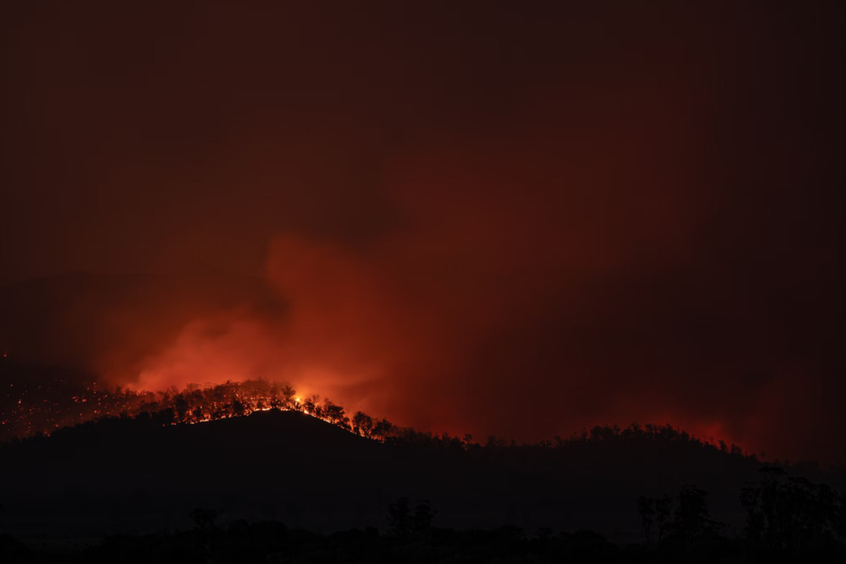 Washington Mobilizes State Resources to Battle Red Bridge Fire Near