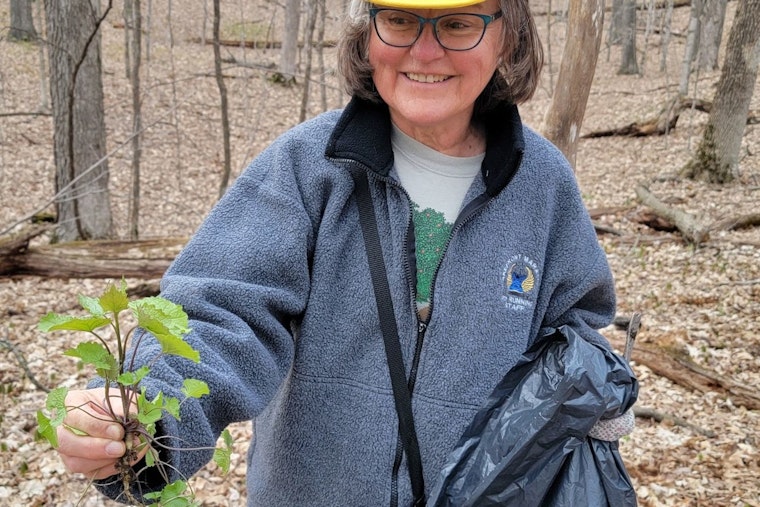 Wisconsin DNR Declares June Invasive Species Action Month and Calls
