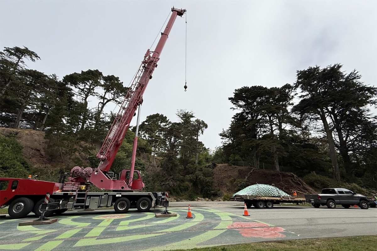 100-Foot Sea Serpent Surfaces in Golden Gate Park, After Slithering