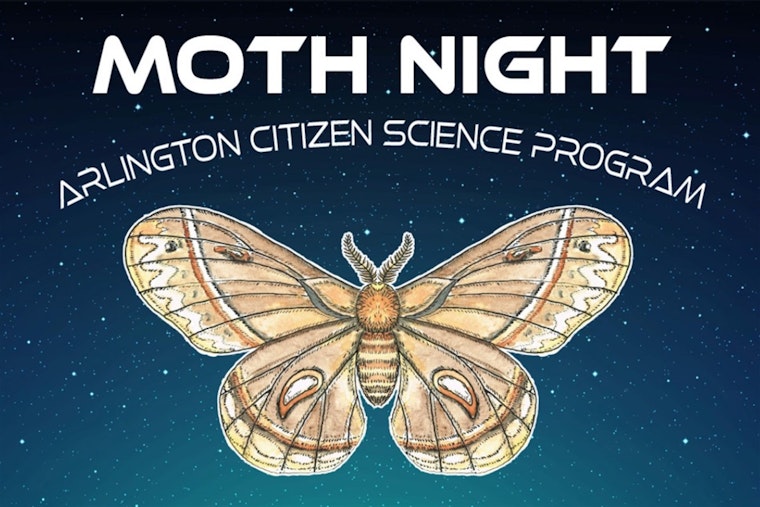 Arlington's Moth Night Beckons Adventurous Spirits to Webb Community