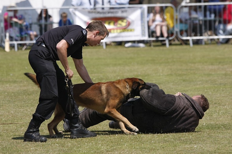 Avondale Police Department Unveils State-of-the-Art K-9 Training