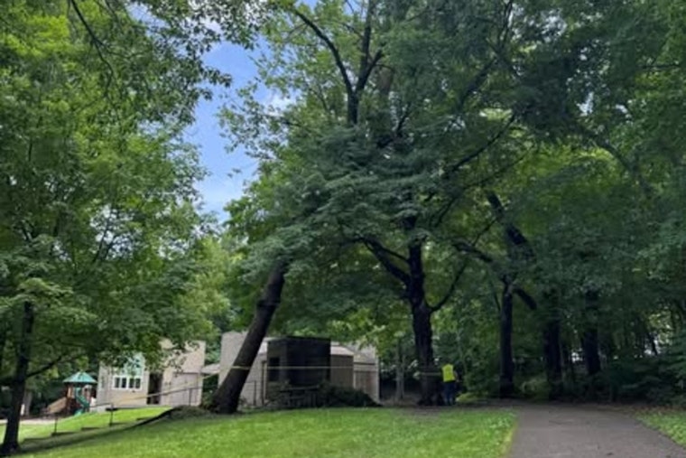 Beebe Lake County Park to Temporarily Close for Hazardous Tree Removal