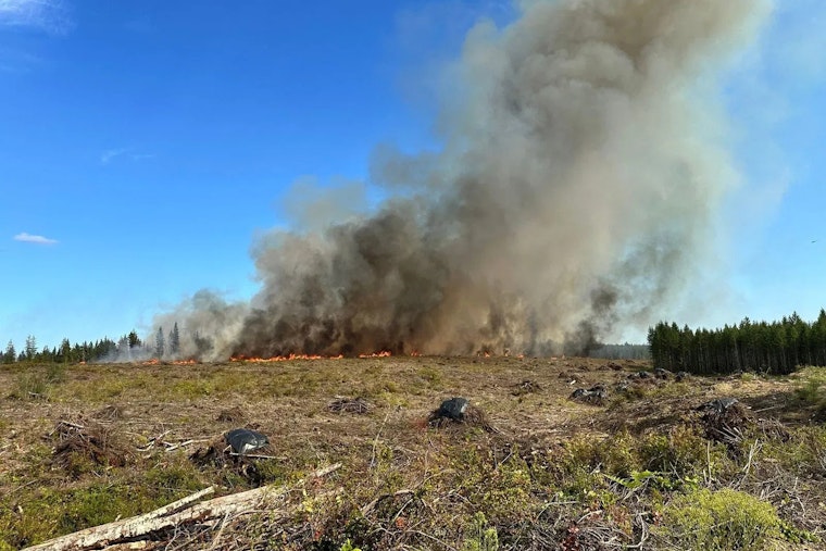 Belfair Residents Evacuate as Toonerville Fire Engulfs 100 Acres;