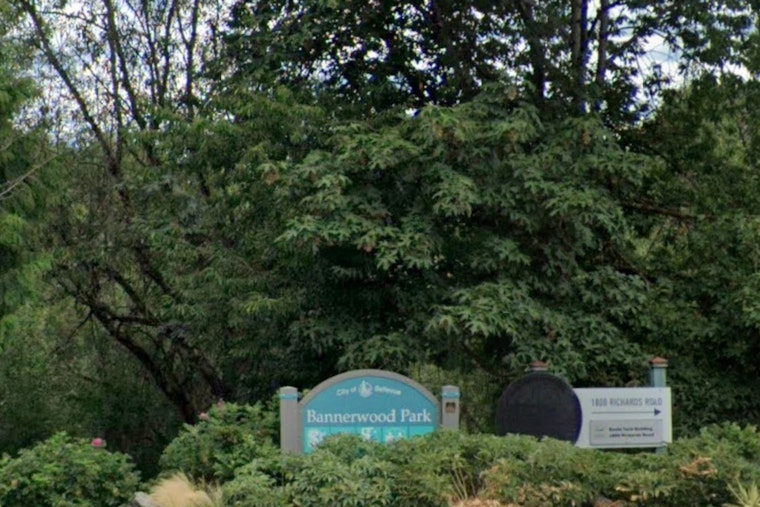 Bellevue's Annual Tree Giveaway Grows Greener Futures with 700 Free