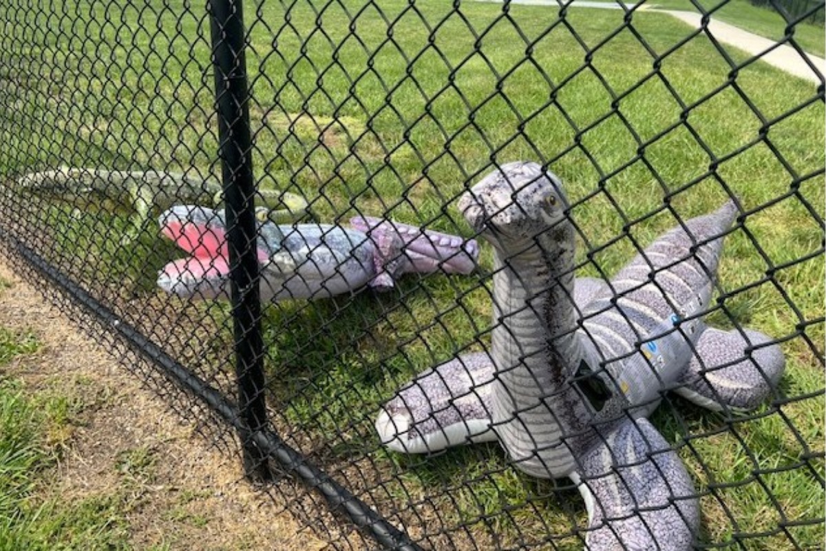 Butler County Sheriffs Add "Deputy Dino-Saurveillance" for Whimsical