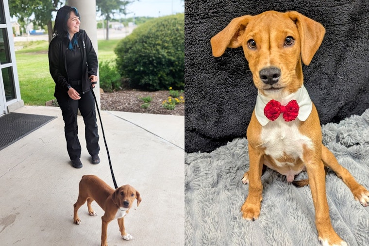 Coppell Residents and Furry Friends Trek Together at Nature Park Dog