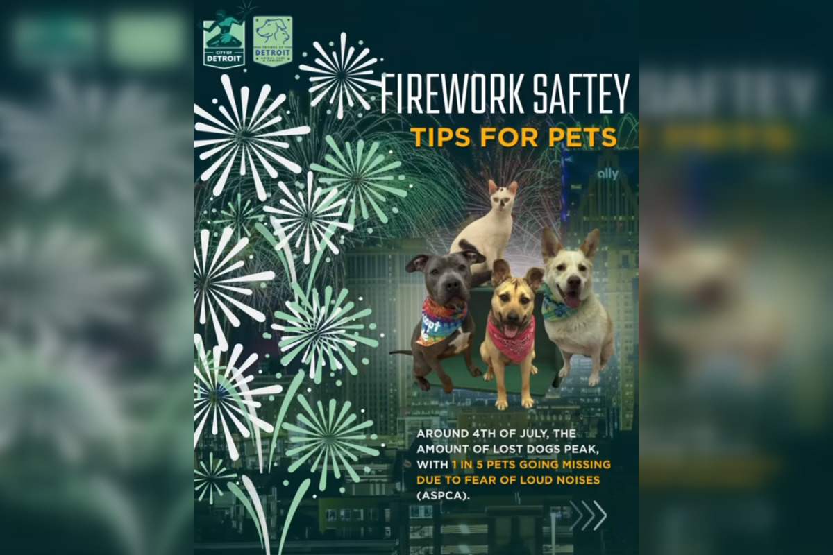 Detroit Animal Care and Control Shares Tips for Pet Safety During