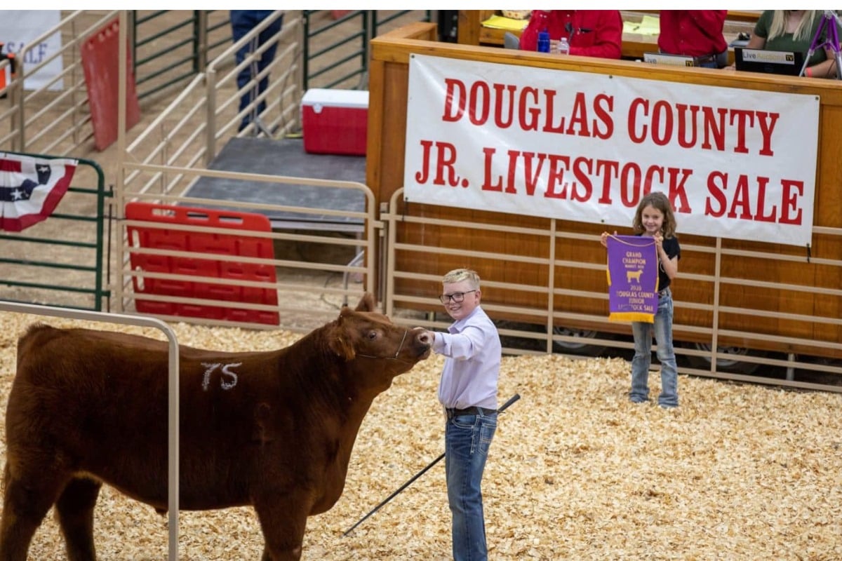 Douglas County Celebrates Tradition with In-Person Junior Livestock