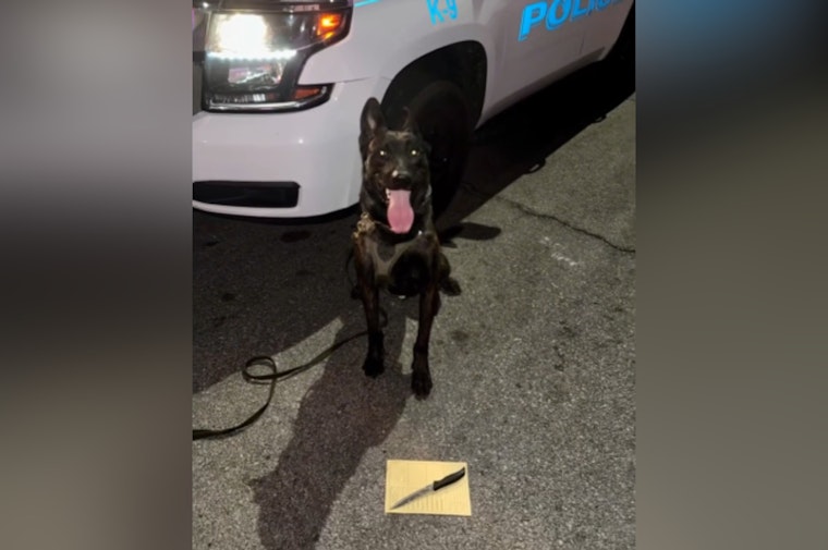 K-9 Hero Bolt Finds Critical Evidence in North Las Vegas Domestic