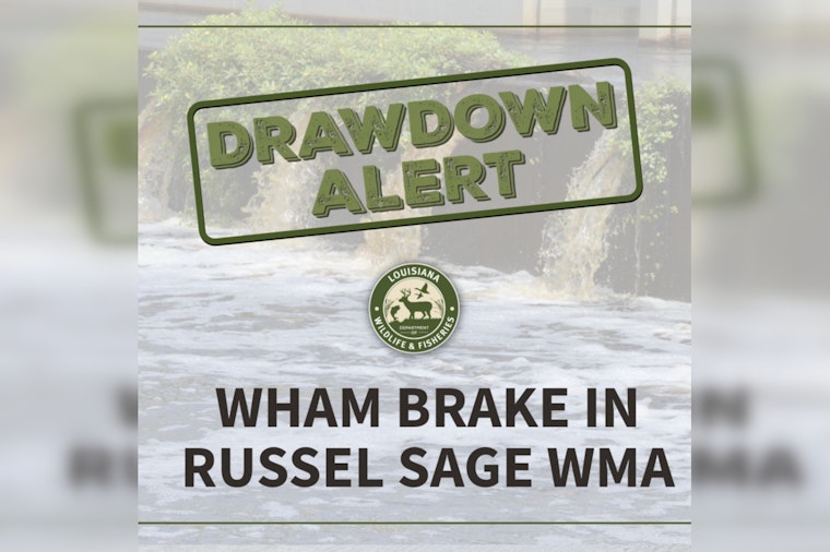 LDWF Begins Controlled Drawdown at Wham Brake to Combat Invasive