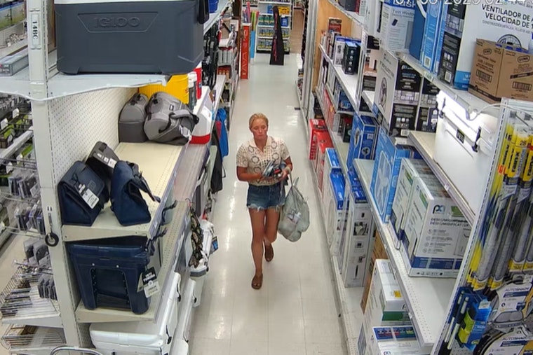 Novato Community Helps Police Nab Theft Suspect Linked to Pini