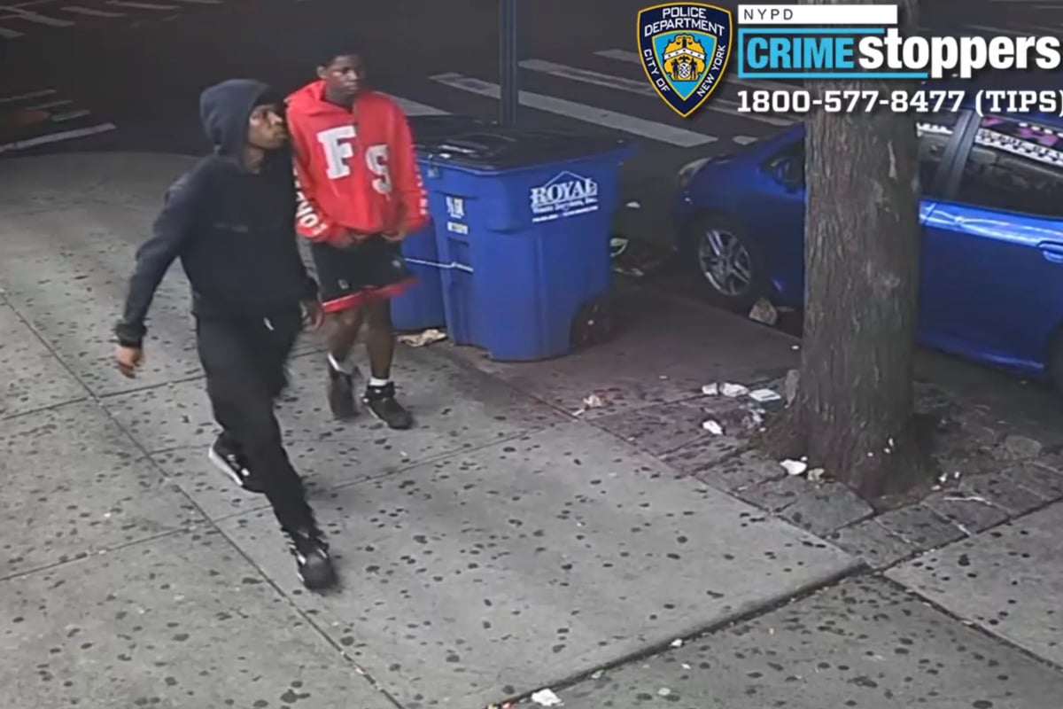 NYPD Seeks Public's Help to Identify Suspects in Bronx Shooting