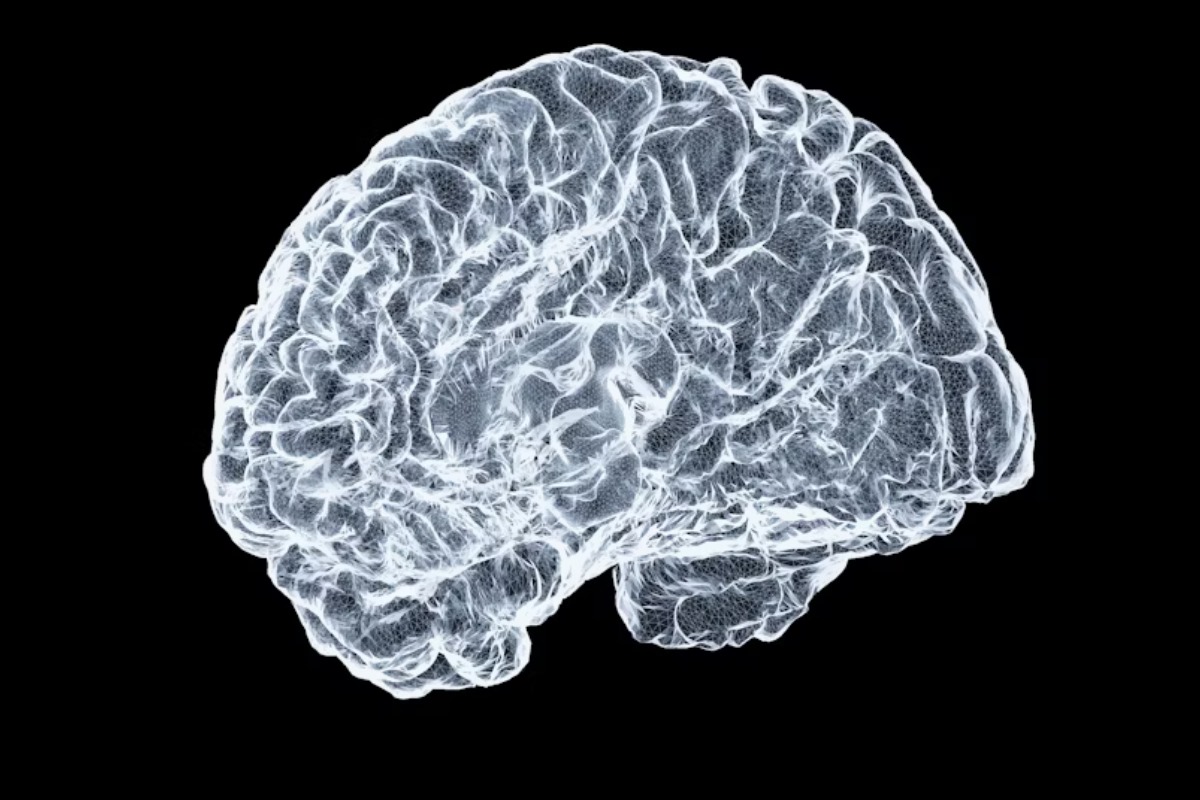 Ohio State University Rolls Out Brain Health Initiative to Aid Aging