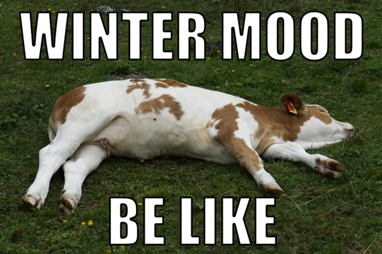 Ohio State University Scholar Posits Internet Memes as Digital