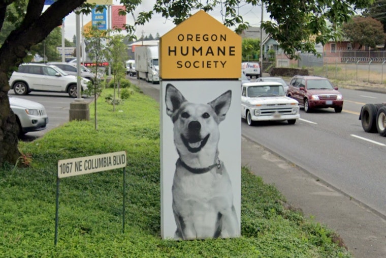 Oregon Humane Society Slashes Pet Adoption Fees by 50% in Portland and