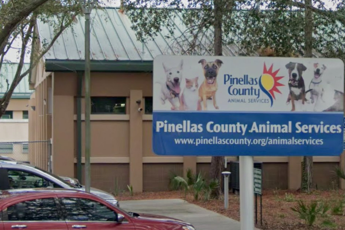 Pinellas County Revokes Clearwater Pet Store's Permit Amid Animal