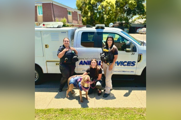 Rancho Cordova Animal Services Saves Local Dog Ruby with Lifesaving