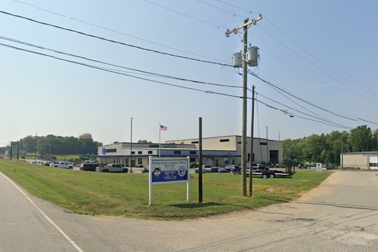 Rowan County Animal Shelter Offers $10 Rabies Vaccines to Locals for