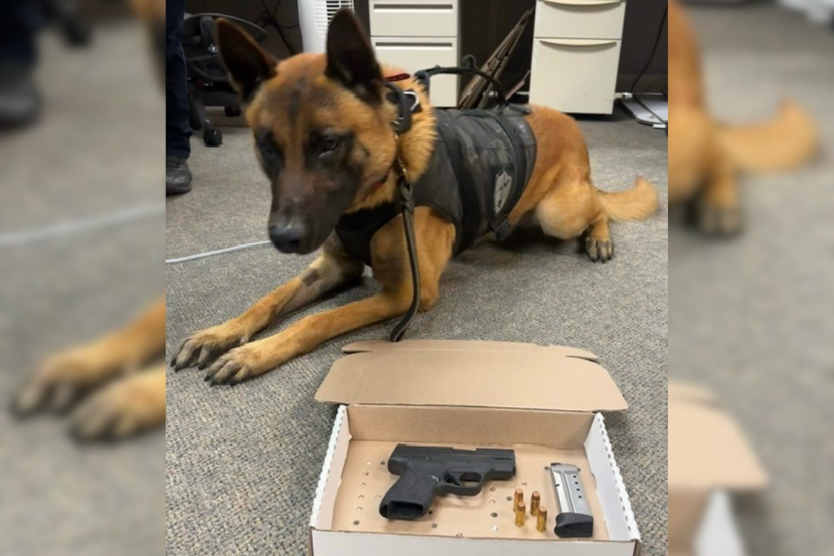 Santa Rosa Police Discover Loaded Gun During Traffic Stop, Two