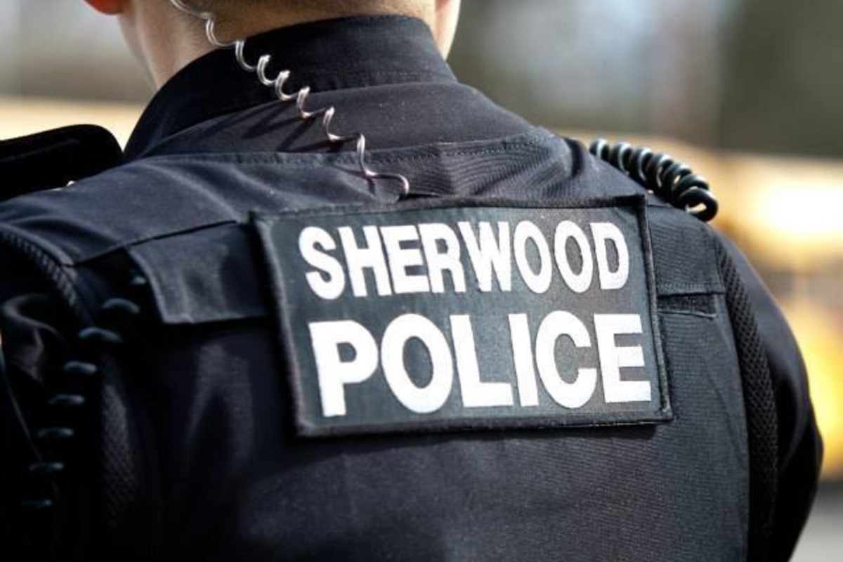 Sherwood Man Indicted on Charges of Criminal Mistreatment and Theft