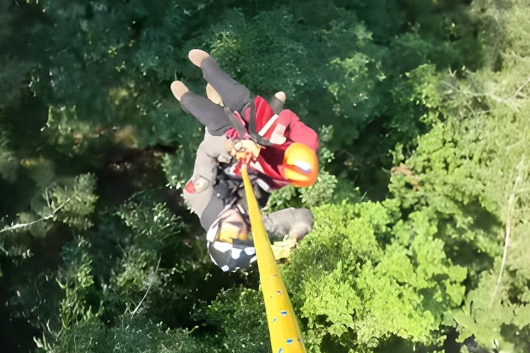 Sonoma County Sheriff's Helicopter Assists in Aerial Rescue of Hiker