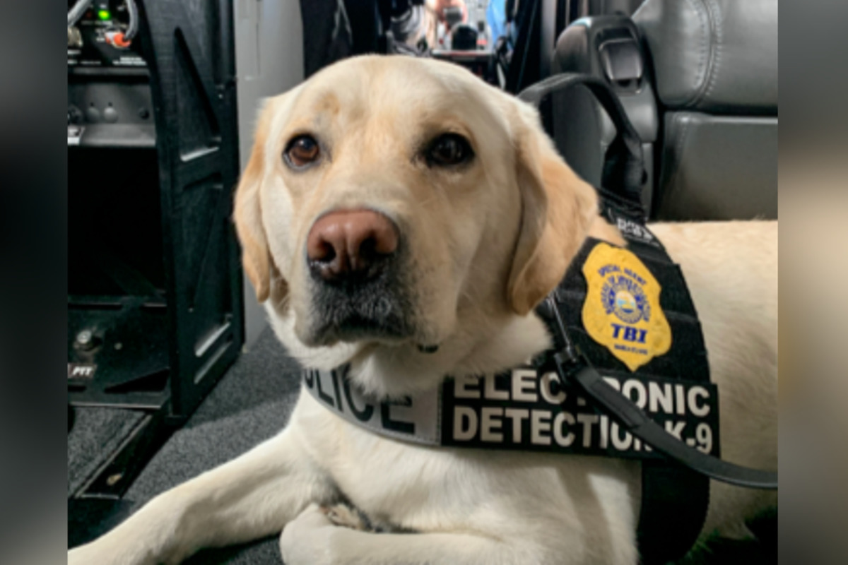 TBI's Trailblazing ESD Canine, Zeus, Retires After Distinguished