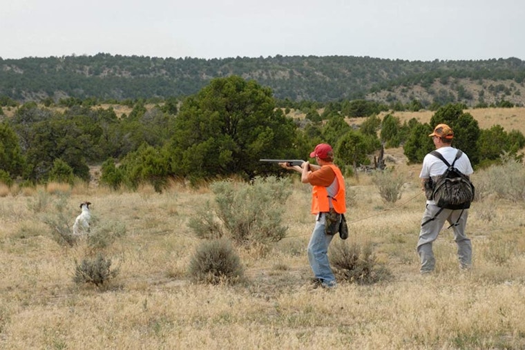 Utah Offers Hunting Education and Trial Programs for Aspiring Hunters