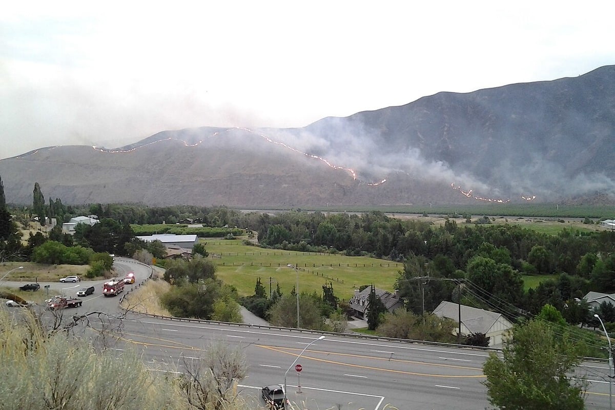 Washington State's DNR and Pano AI Offer Public Access to Wildfire