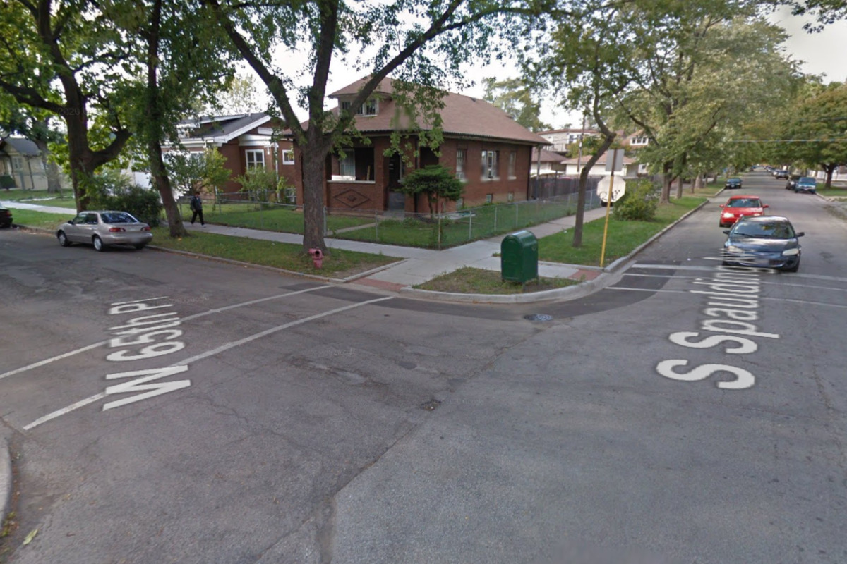 26 Dogs Rescued Amid Animal Cruelty Probe in Chicago Lawn Neighborhood