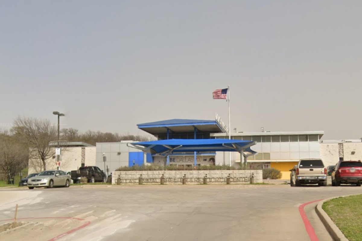 Dallas Animal Services Cleared of Animal Cruelty Accusations After
