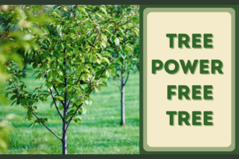 Garland Kicks Off "Tree Power Free Tree Giveaway 2025" to Promote