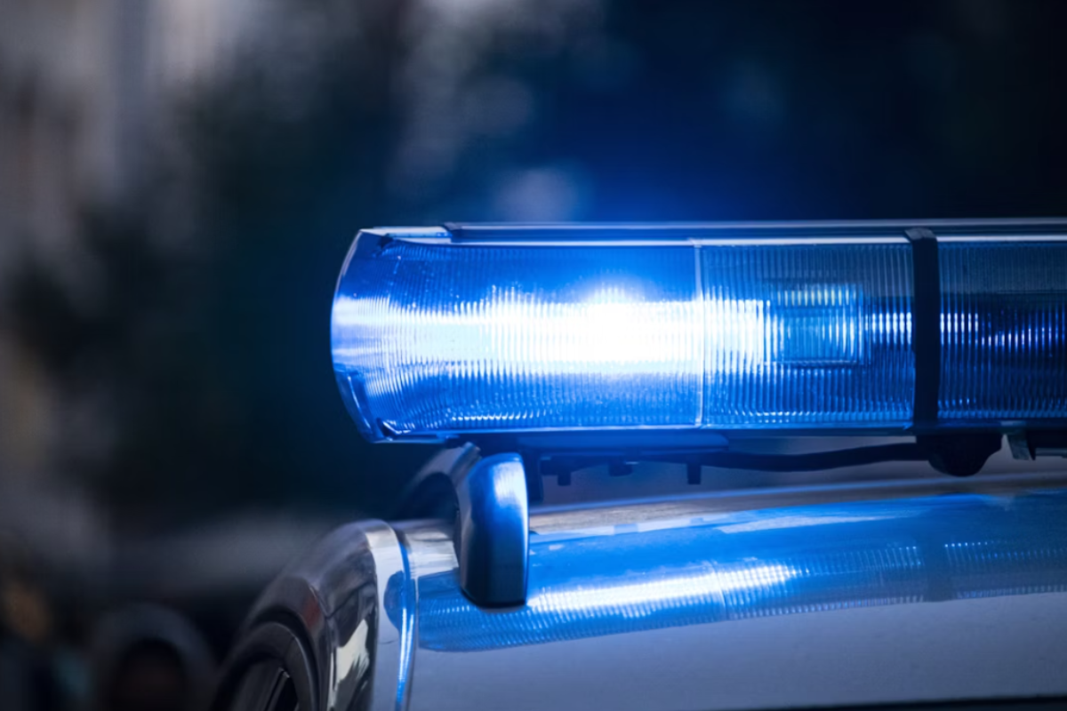 Lady Lake Senior Fights Off Burglar, Suspect Charged with Battery and